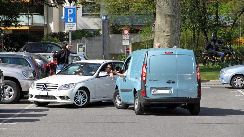 Visit the Free Morges Tulip Festival on Lake Geneva - Lake Geneva ...