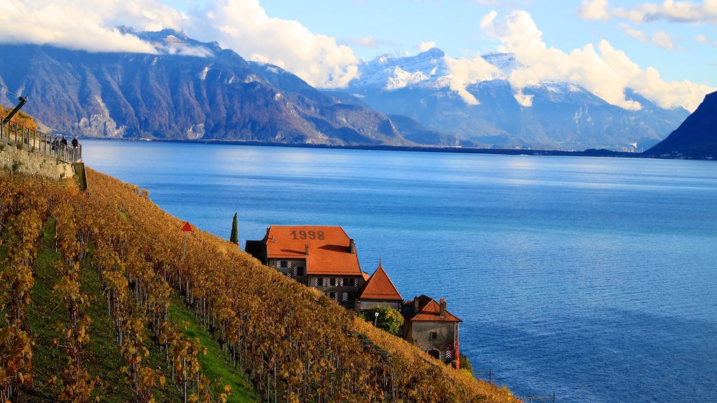 Hiking in the Vineyards of Lavaux - Lake Geneva Switzerland