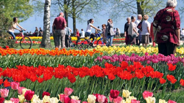 Unforgettable Celebrations Await: Lake Geneva Festival 2025 Guide