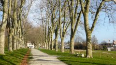 Chateau and Top Sights to See in Coppet near Geneva - Lake Geneva ...